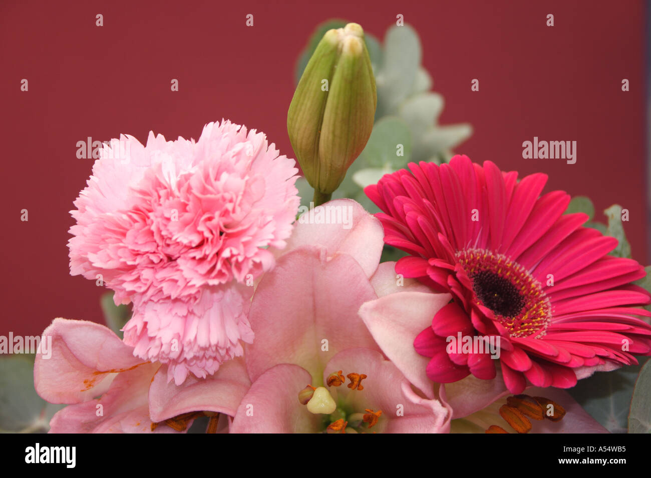 A BUNCH OF LILIUM GERBERA AND CARNATION FLOWERS Stock Photo - Alamy