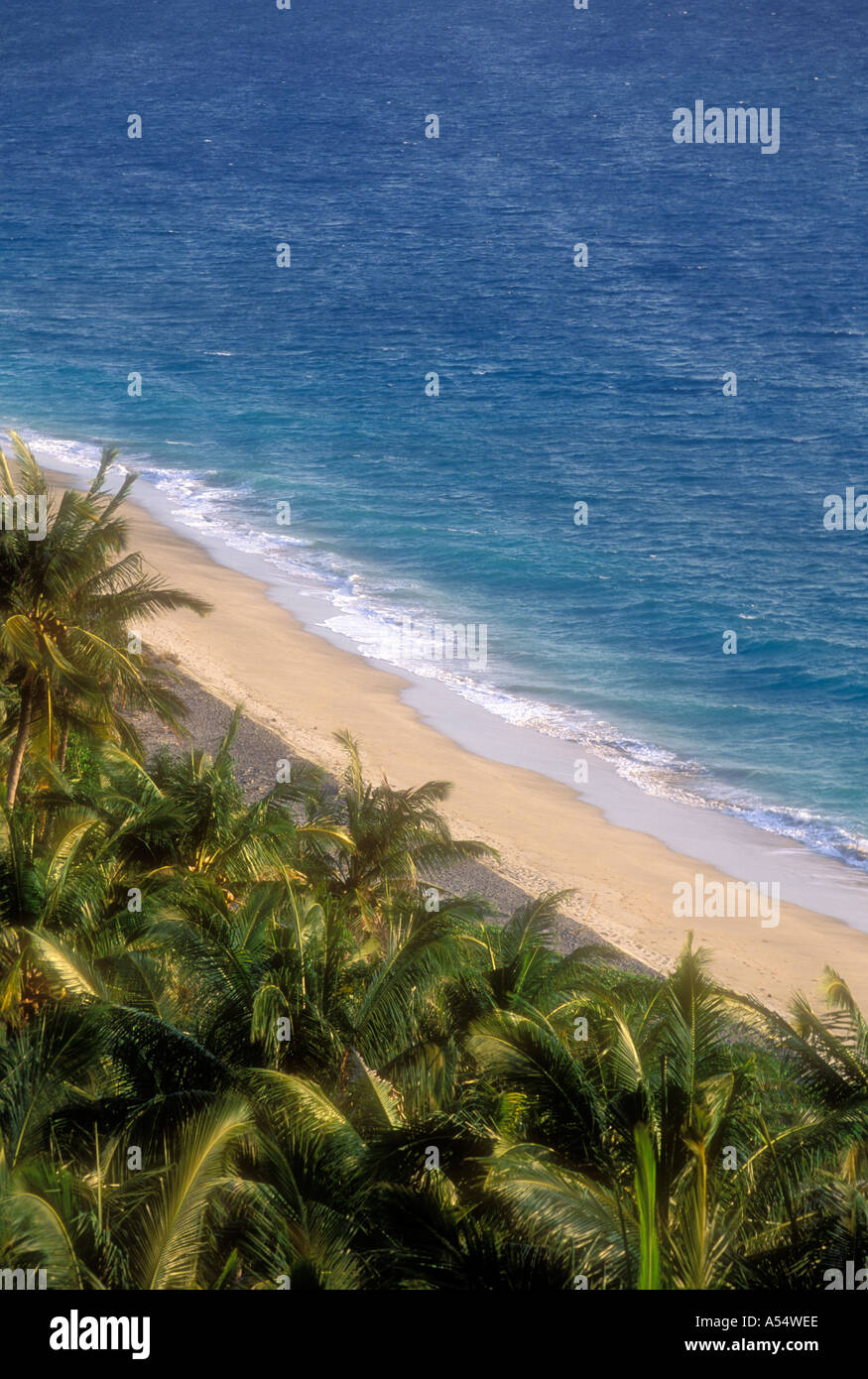 Palm trees tropical island beach hi-res stock photography and images ...