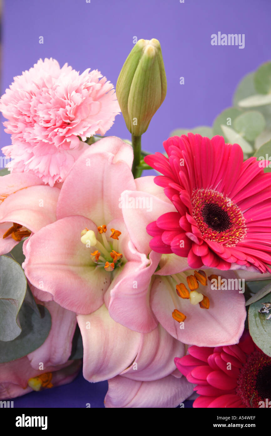 A BUNCH OF LILIUM GERBERA AND CARNATION FLOWERS Stock Photo - Alamy