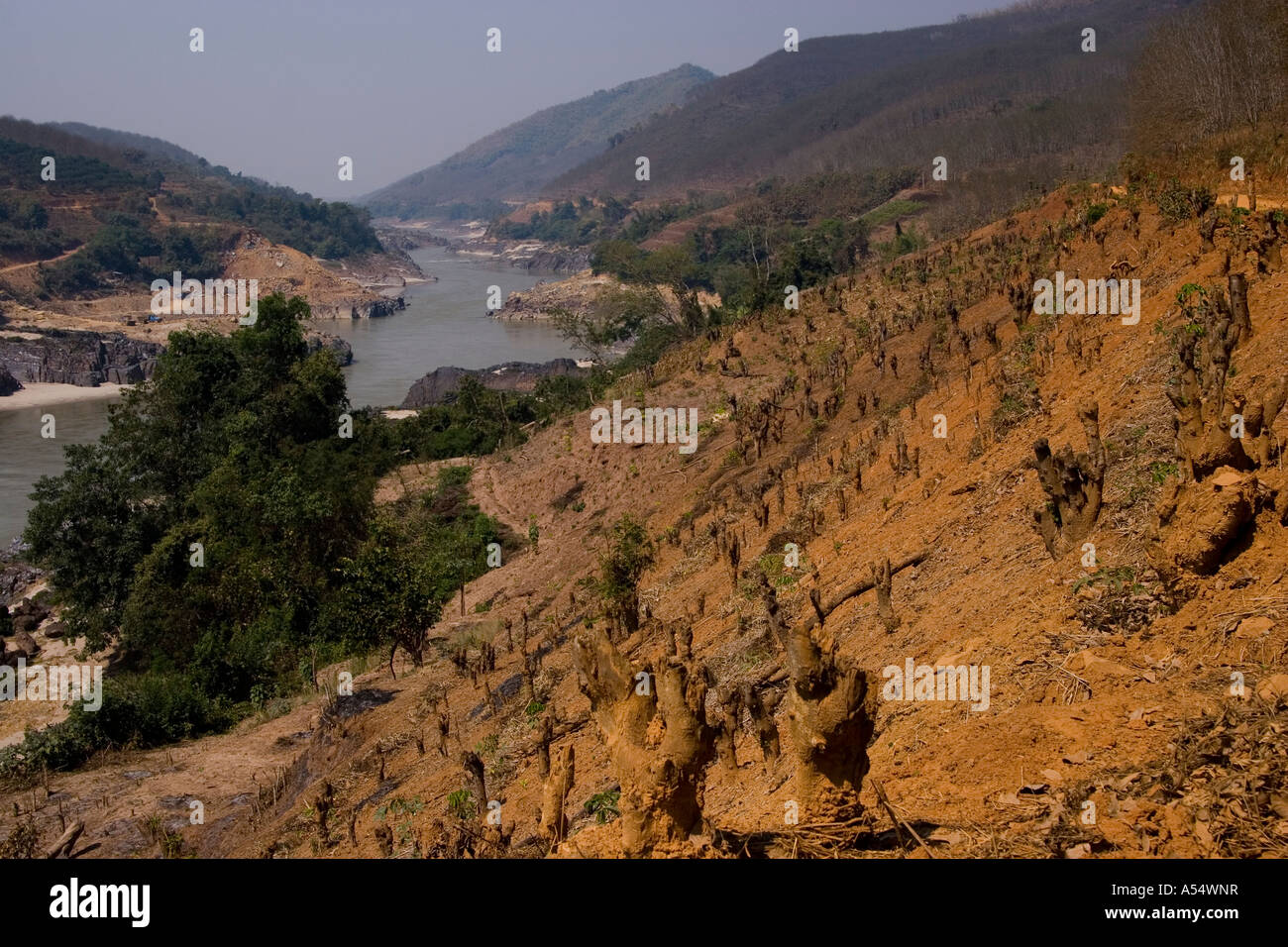 Cllear cut bank of the Lanceng Mekong River in order to plant Rubber ...