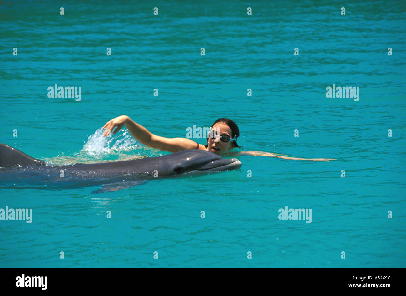 Woman swimming with dolphin hi-res stock photography and images - Alamy