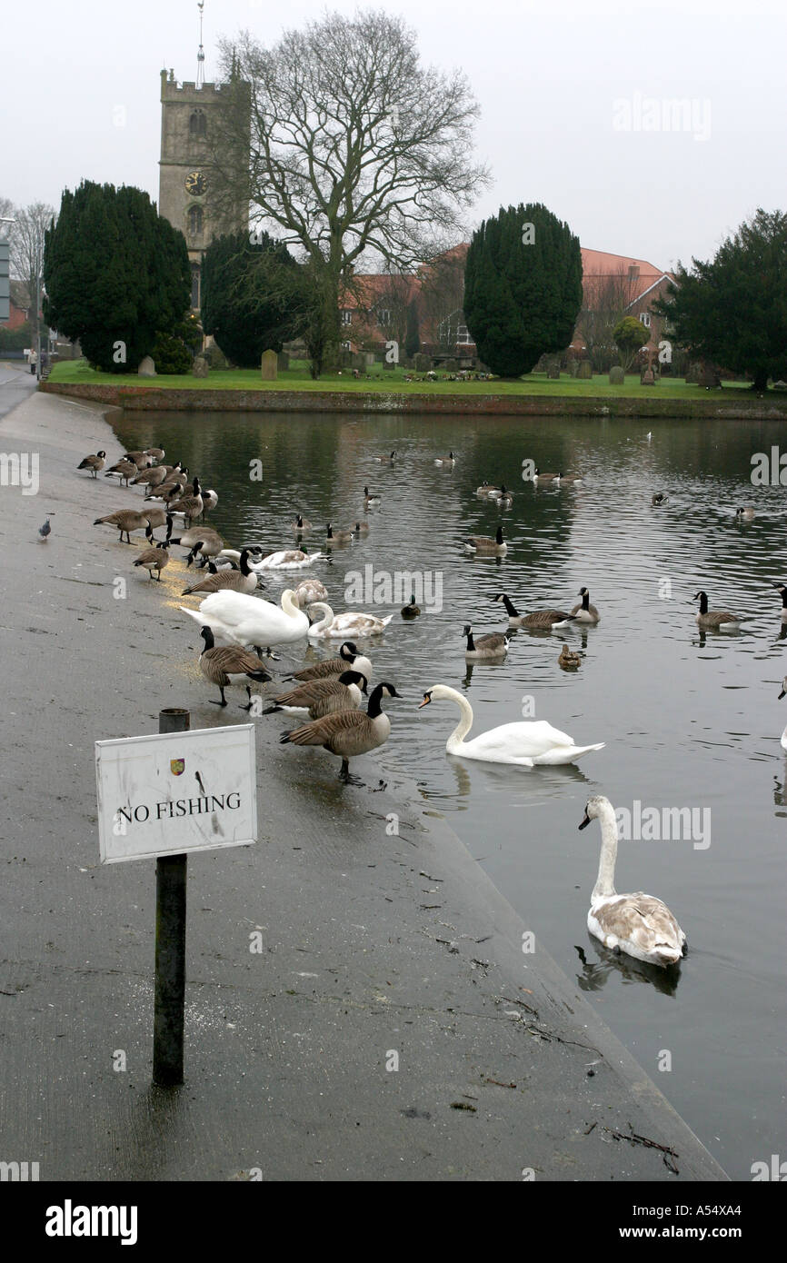 The Crammer pond in Devizes site of the Moonrakers legend Stock Photo ...