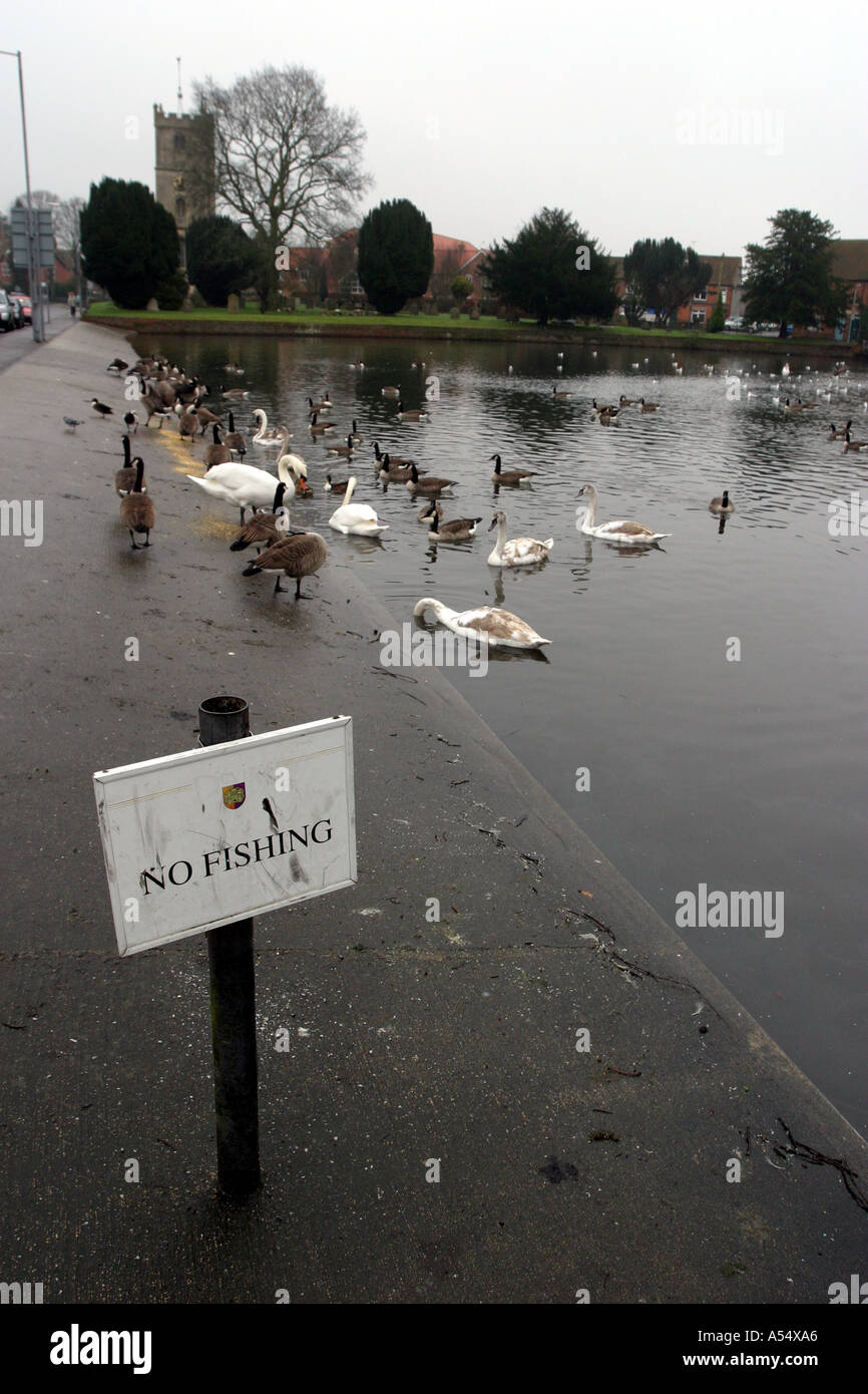 The Crammer pond in Devizes site of the Moonrakers legend Stock Photo ...