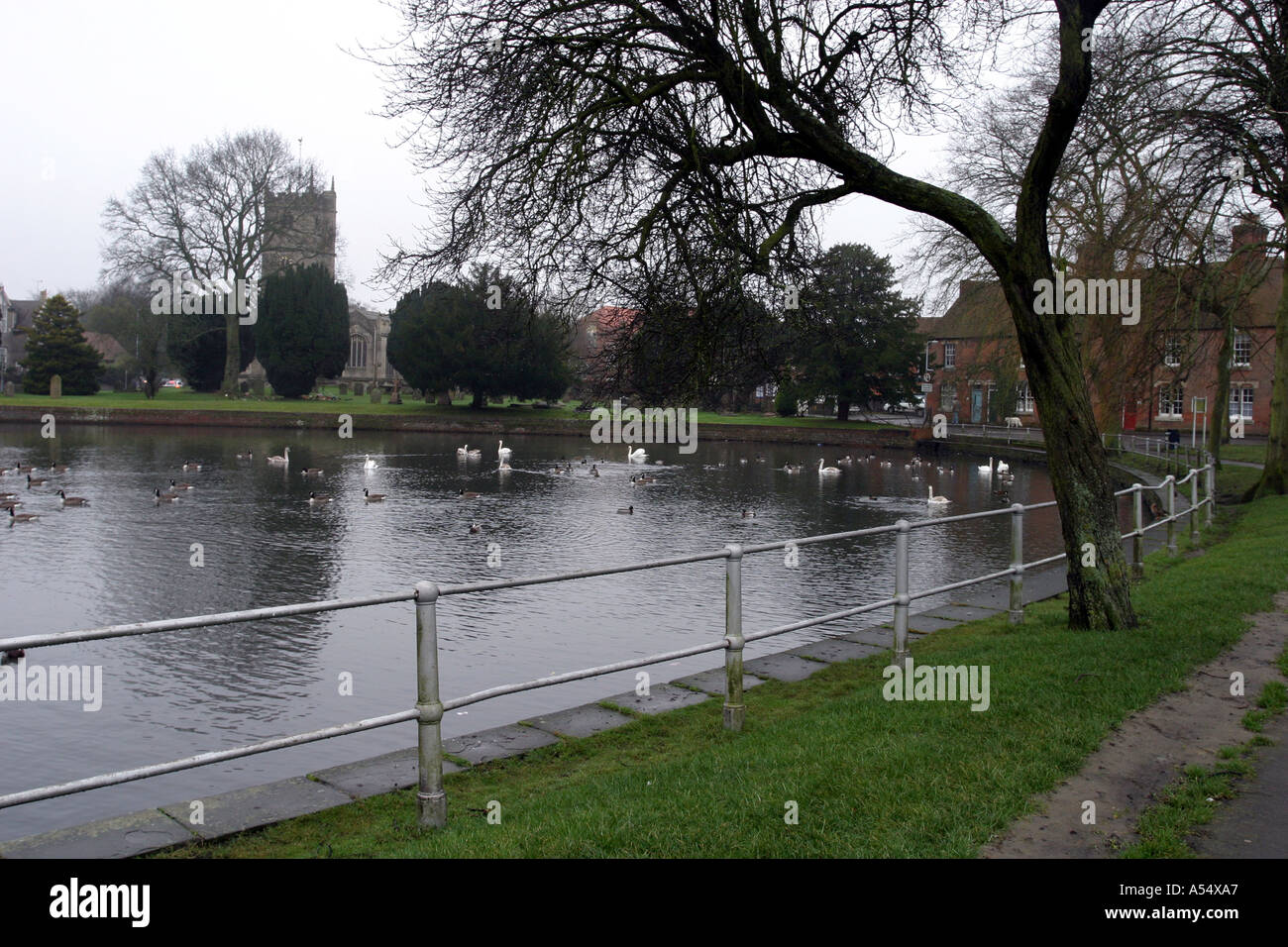 The Crammer pond in Devizes site of the Moonrakers legend Stock Photo ...