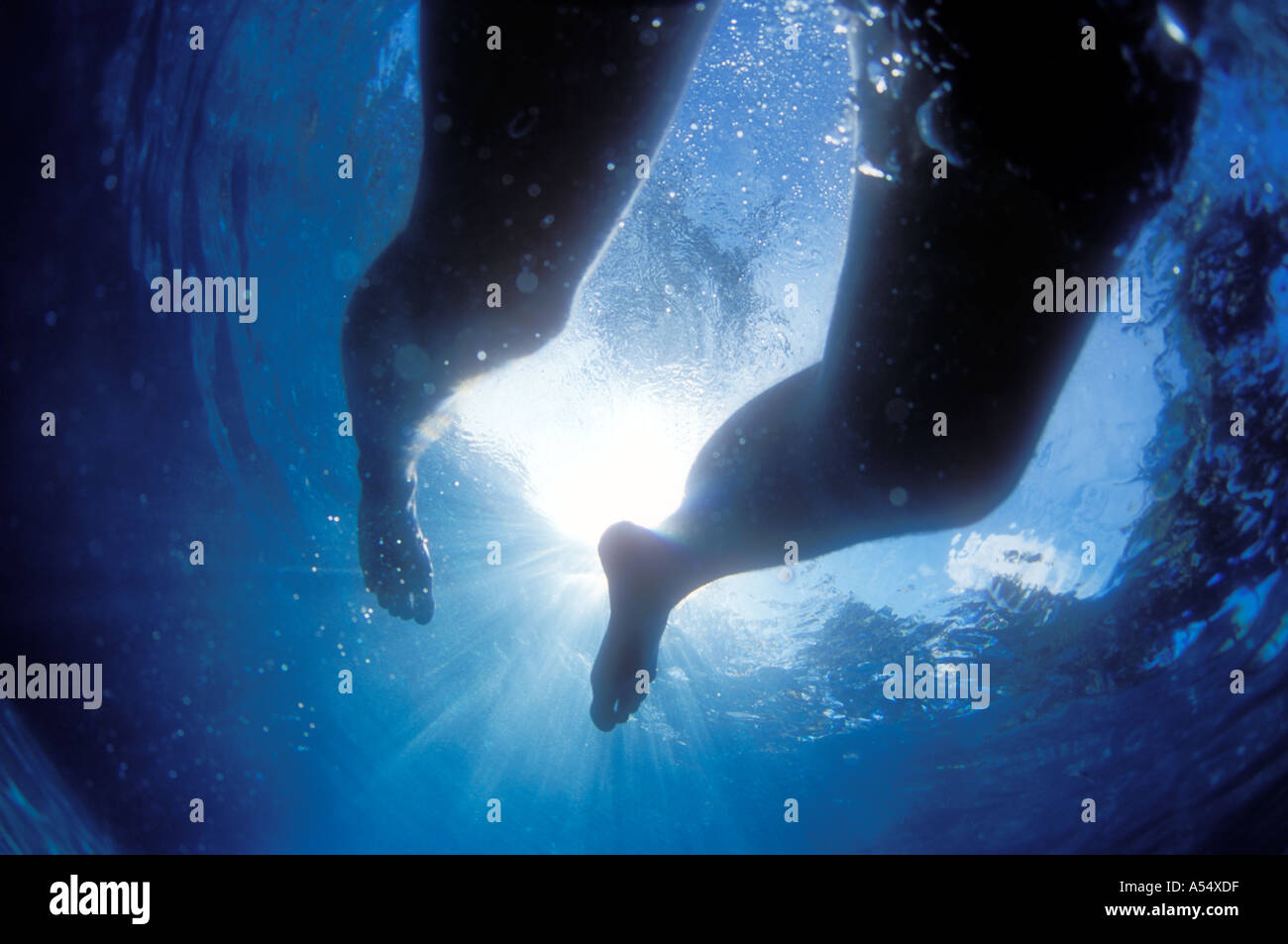Underwater upward view of legs in swimming pool Model Released Photo ...