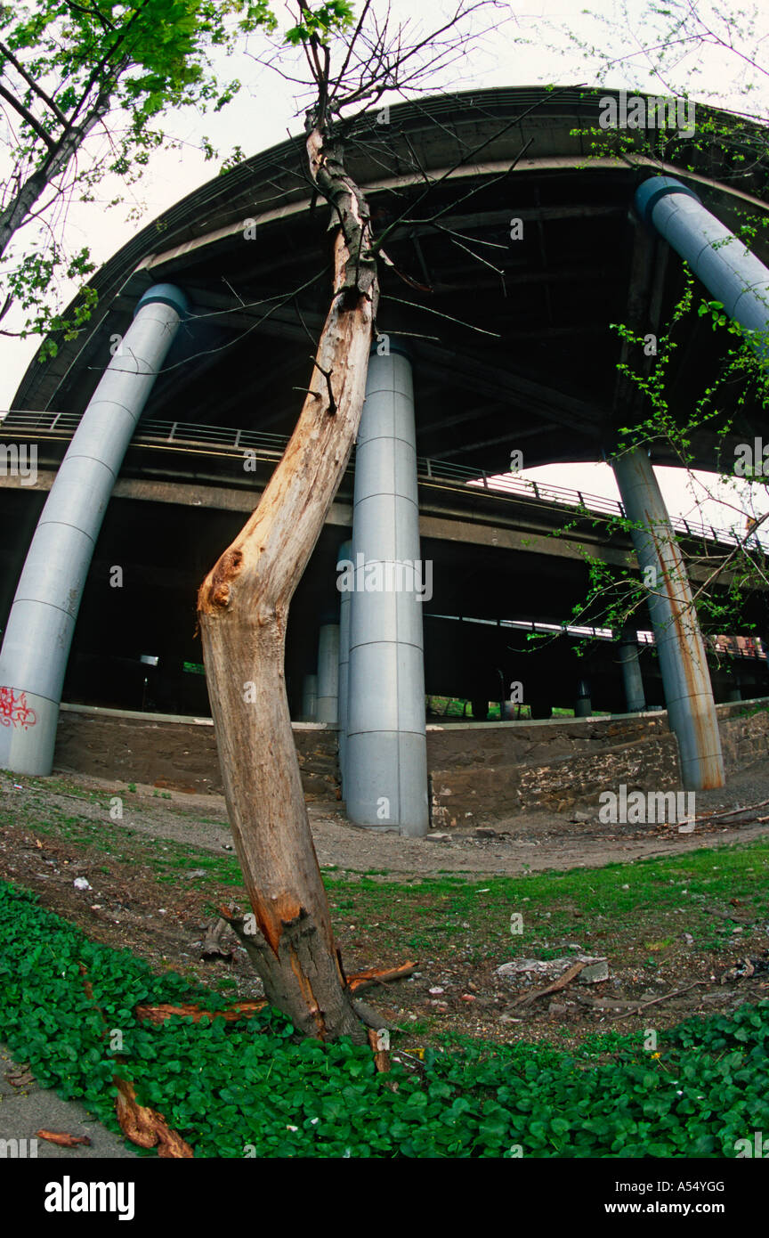 Dead tree and West Side Highway viaducts NYC Stock Photo - Alamy