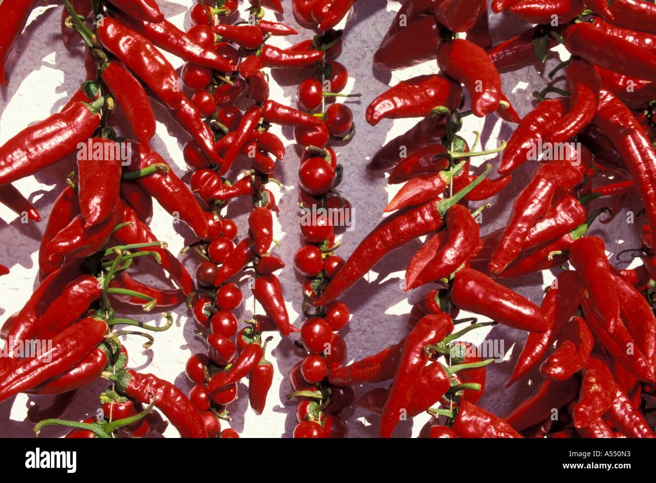 Red Chilli red pepper Stock Photo - Alamy