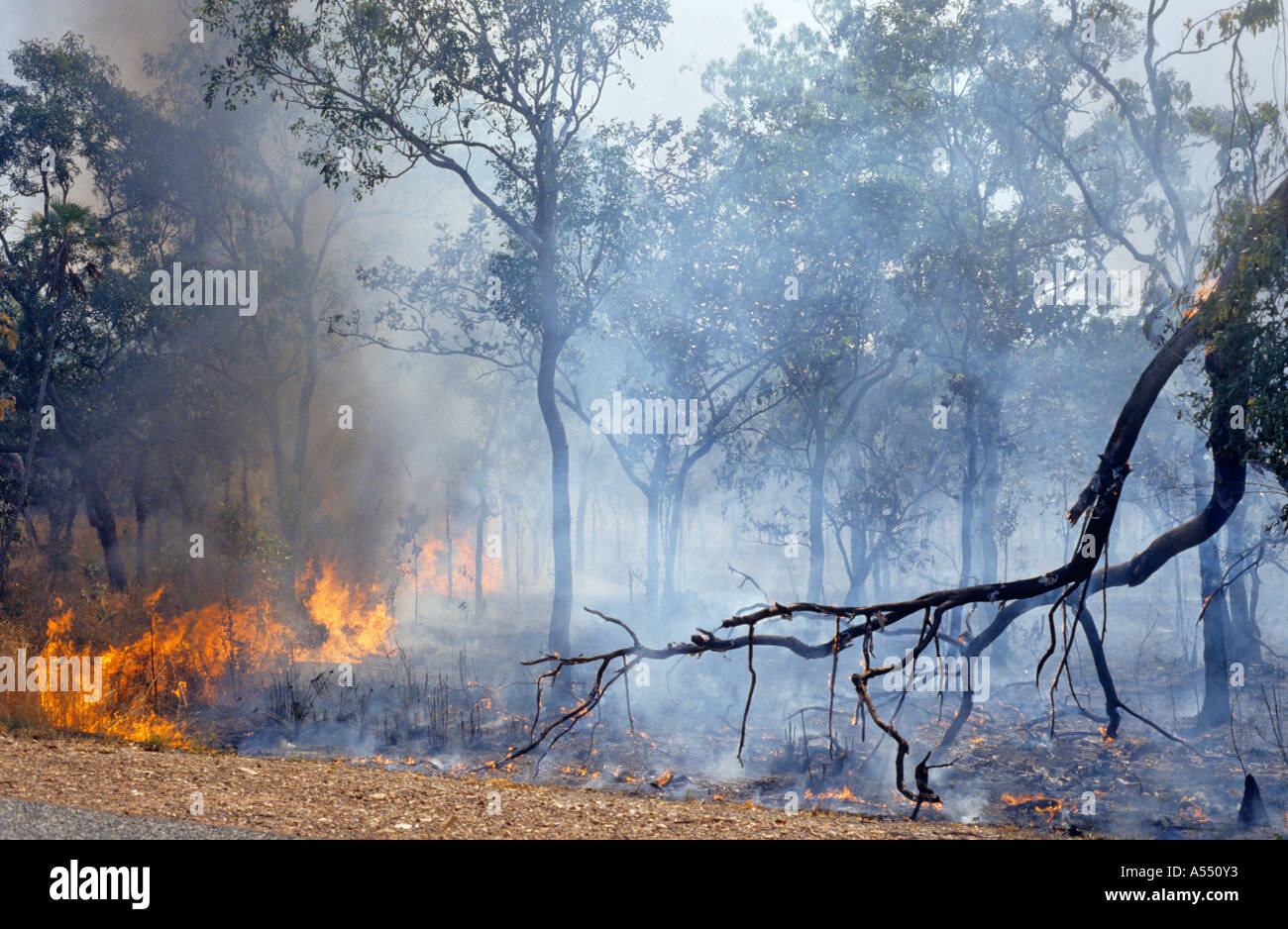 Fire australia forest dramatic hi-res stock photography and images - Alamy