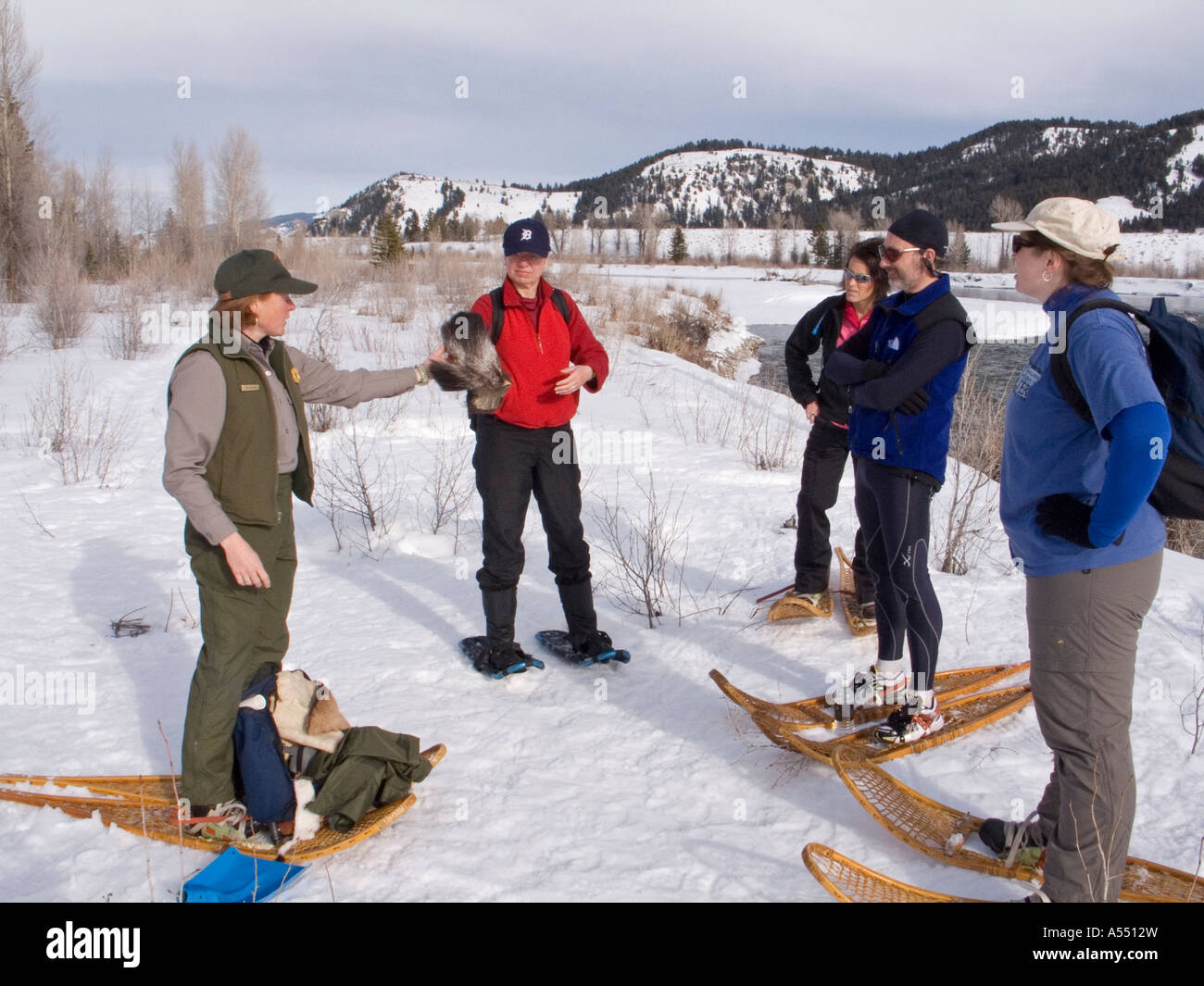 Park Ranger Leads Snowshoe Hike in Grand Teton National Park Stock ...