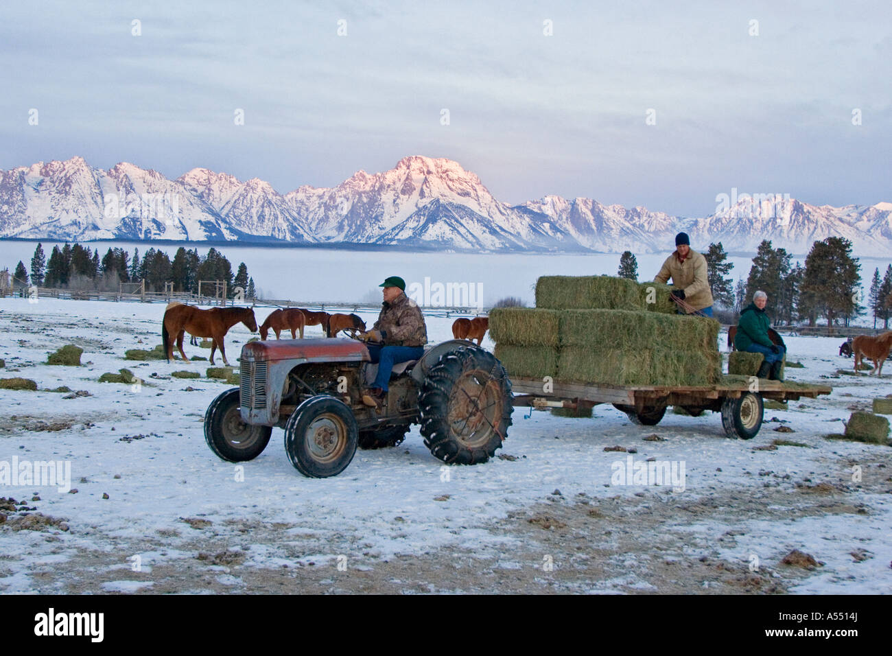 Triangle X Ranch in Grand Teton National Park Stock Photo - Alamy