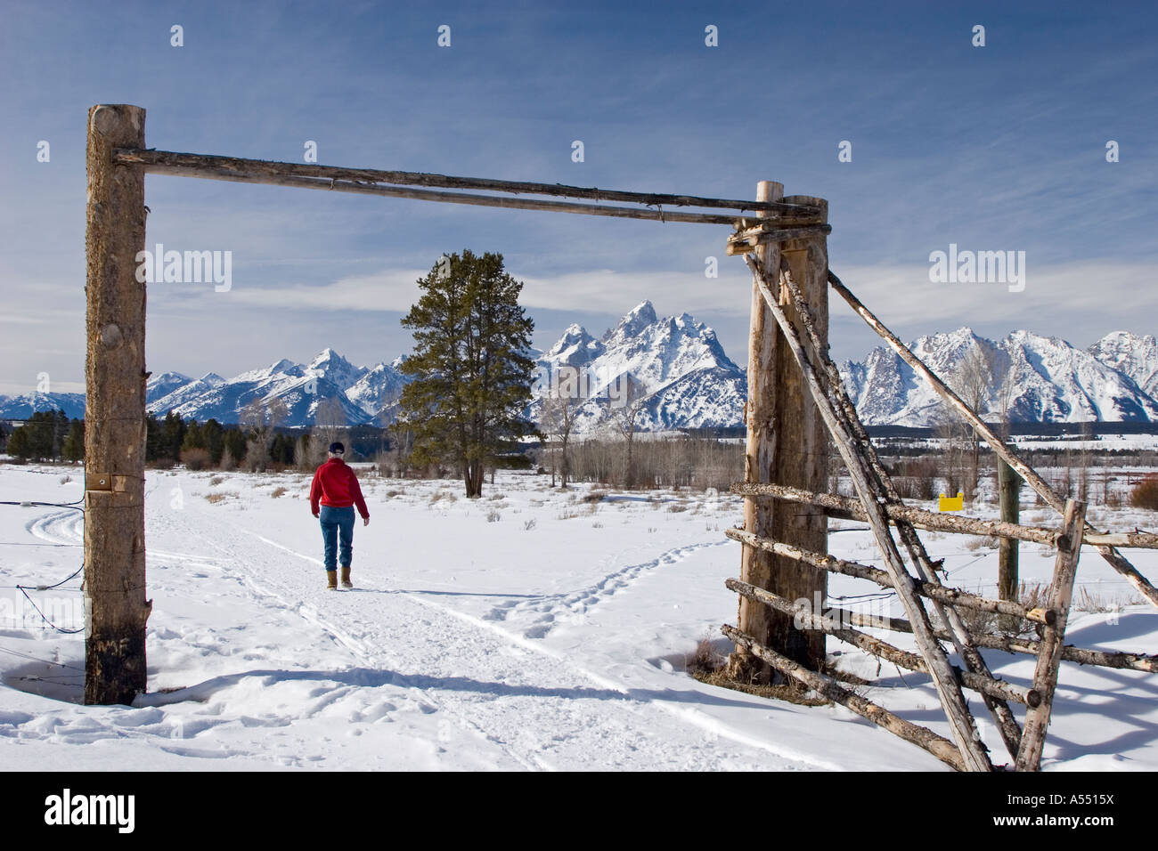 Triangle X Ranch in Grand Teton National Park Stock Photo - Alamy