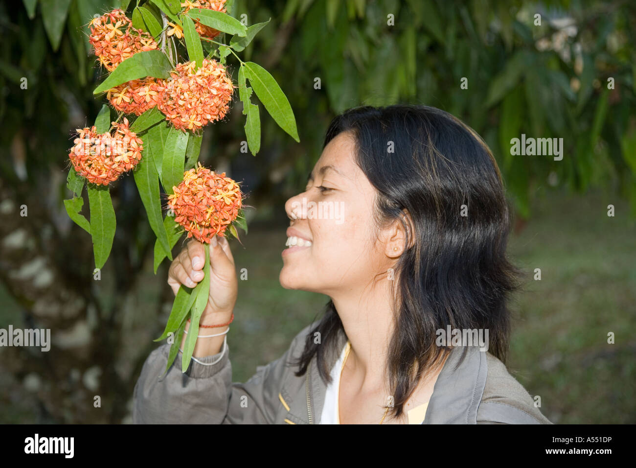 Portrait of Thai female woman girl smelling or sniffing aromatic flower ...