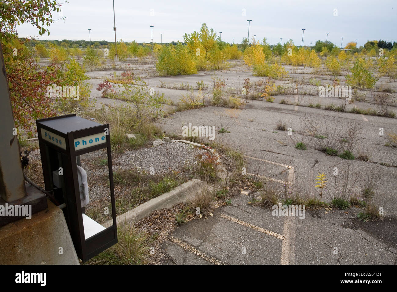 Overgrown Parking Lot of Closed Auto Factory Stock Photo - Alamy