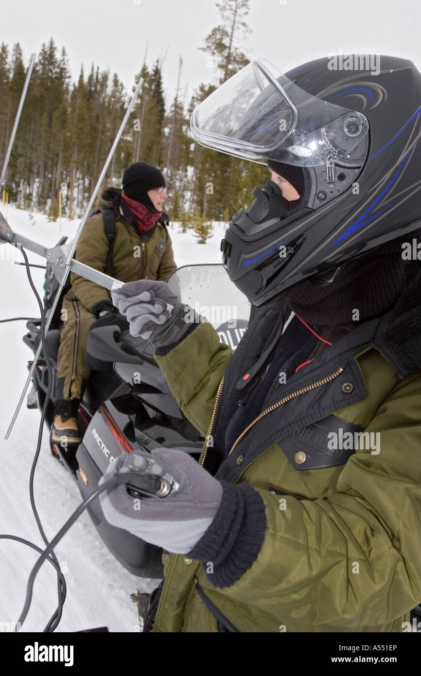 Researcher Searches for Radio Collared Wolves Stock Photo - Alamy