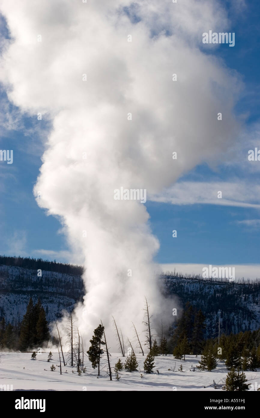Yellowstone National Park Wyoming Daisy Geyser erupting in winter Stock ...