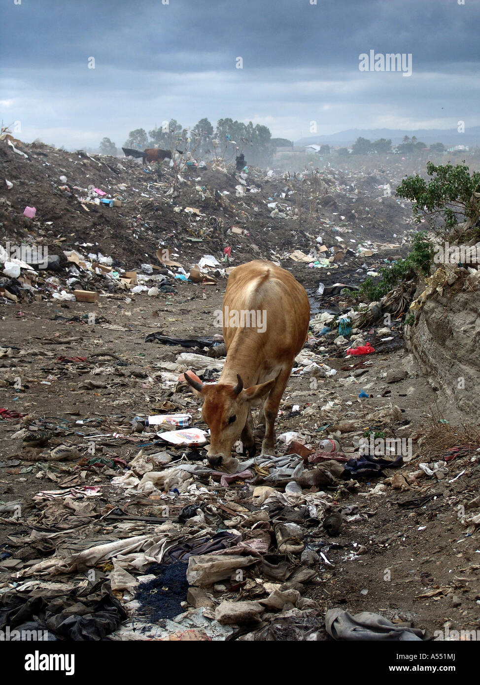 Nicaragua trouble hi-res stock photography and images - Alamy