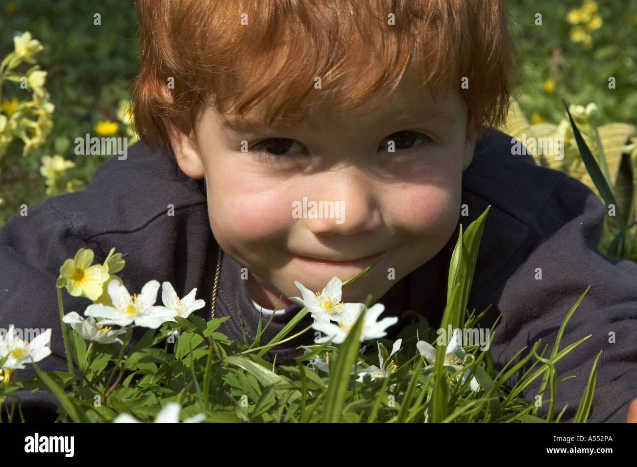 Boys over flowers hi-res stock photography and images - Alamy