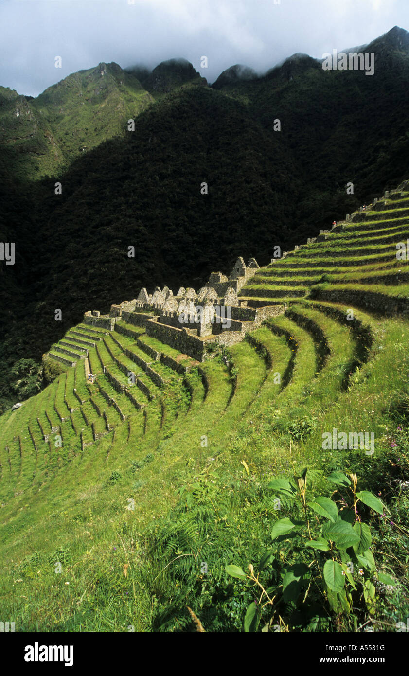 Agricultural terraces at Inca site of Wiñay Wayna, Inca Trail, Peru ...