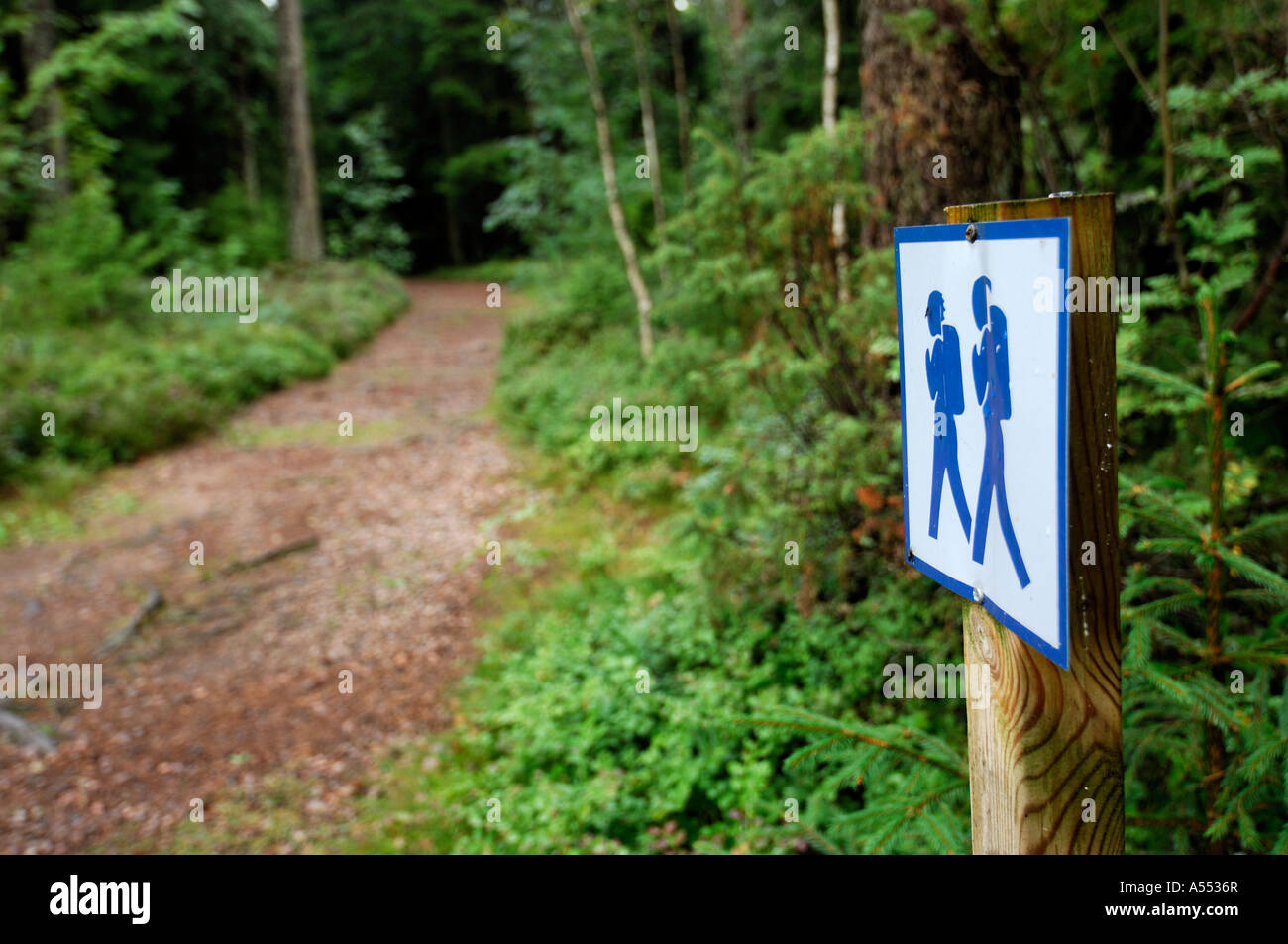 Hiking sign wandering Stock Photo - Alamy