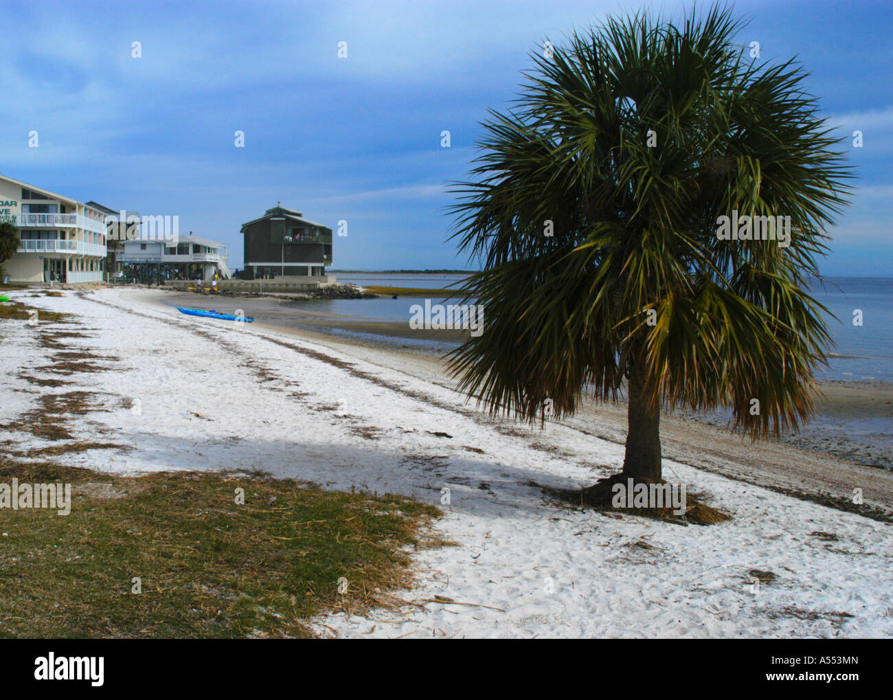Cedar key beach hi-res stock photography and images - Alamy
