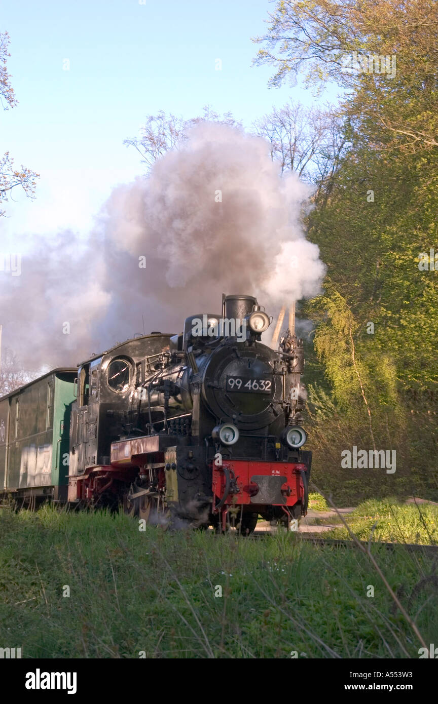 Island Rügen Ruegen Mecklenburg-Vorpommern Germany narrow gauge railway ...