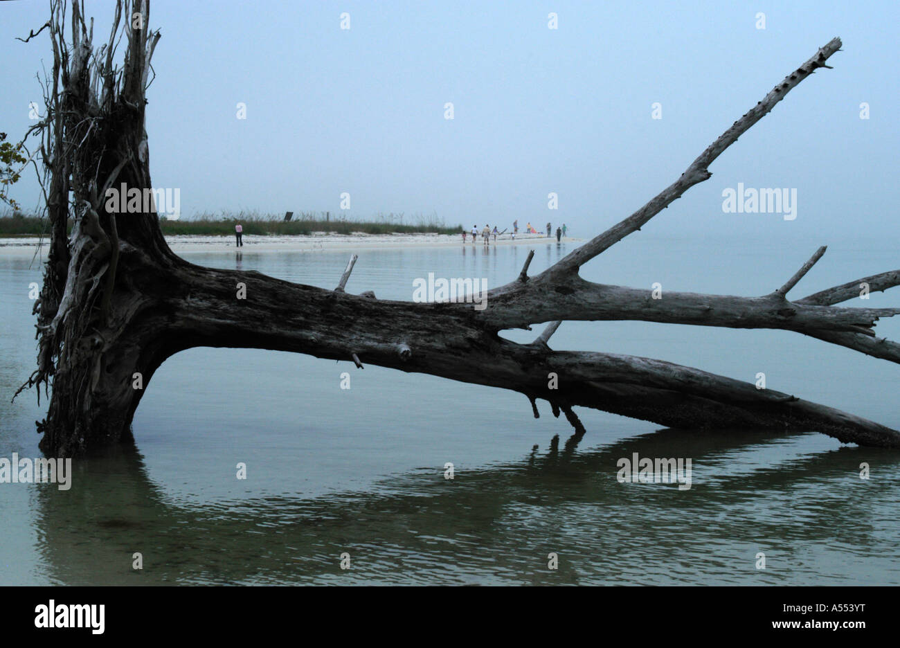 Lovers key state park hi-res stock photography and images - Alamy