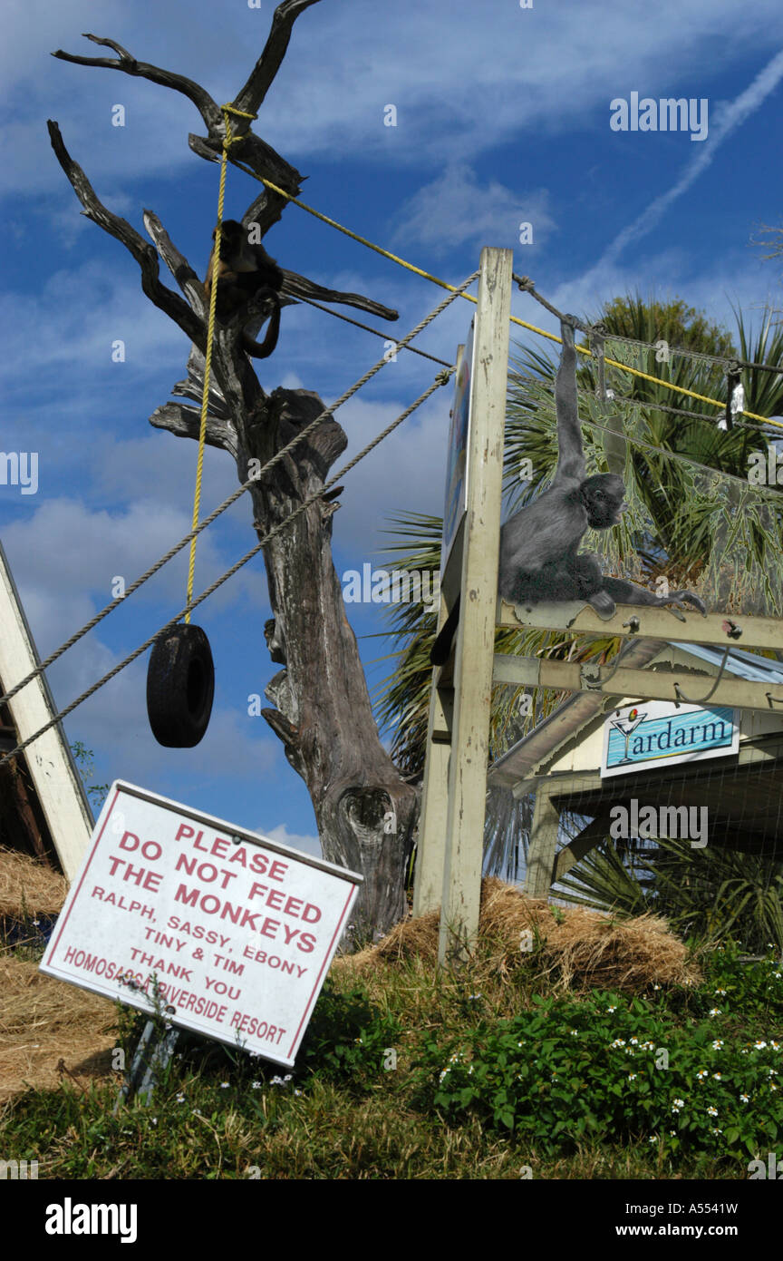 Monkey Island Homosassa River Florida Stock Photo - Alamy