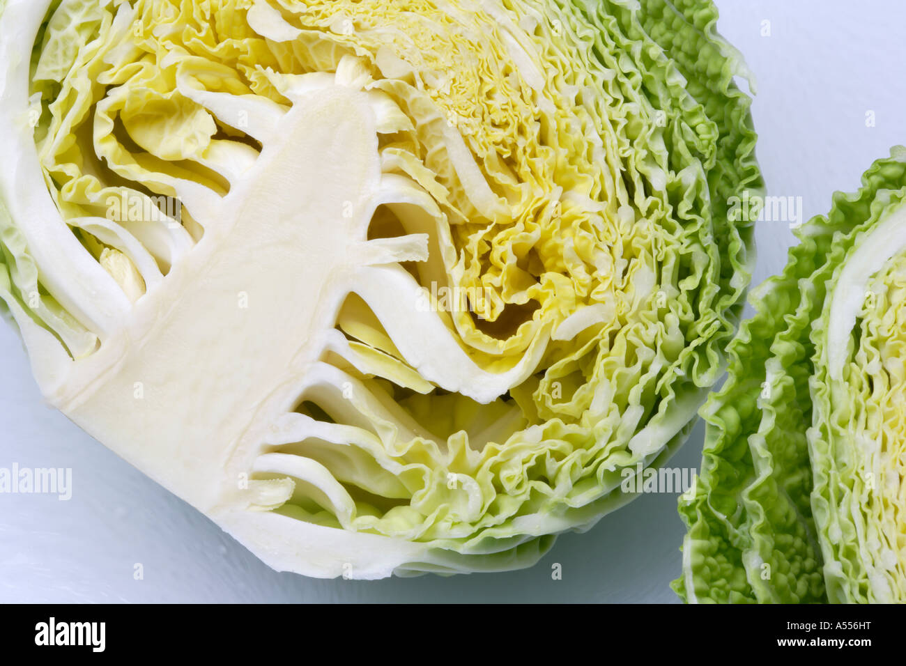 Cabbage cut in half green hi-res stock photography and images - Alamy