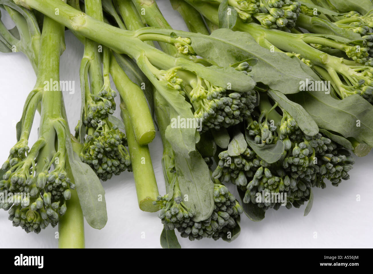 Tenderstem broccoli hi-res stock photography and images - Alamy