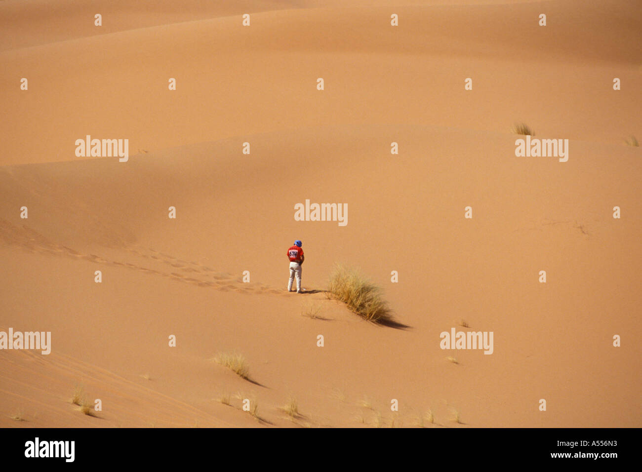 Man in desert urinating Morocco Stock Photo - Alamy