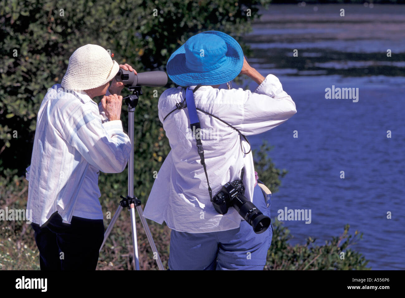 Rear view of bird watcher hi-res stock photography and images - Alamy