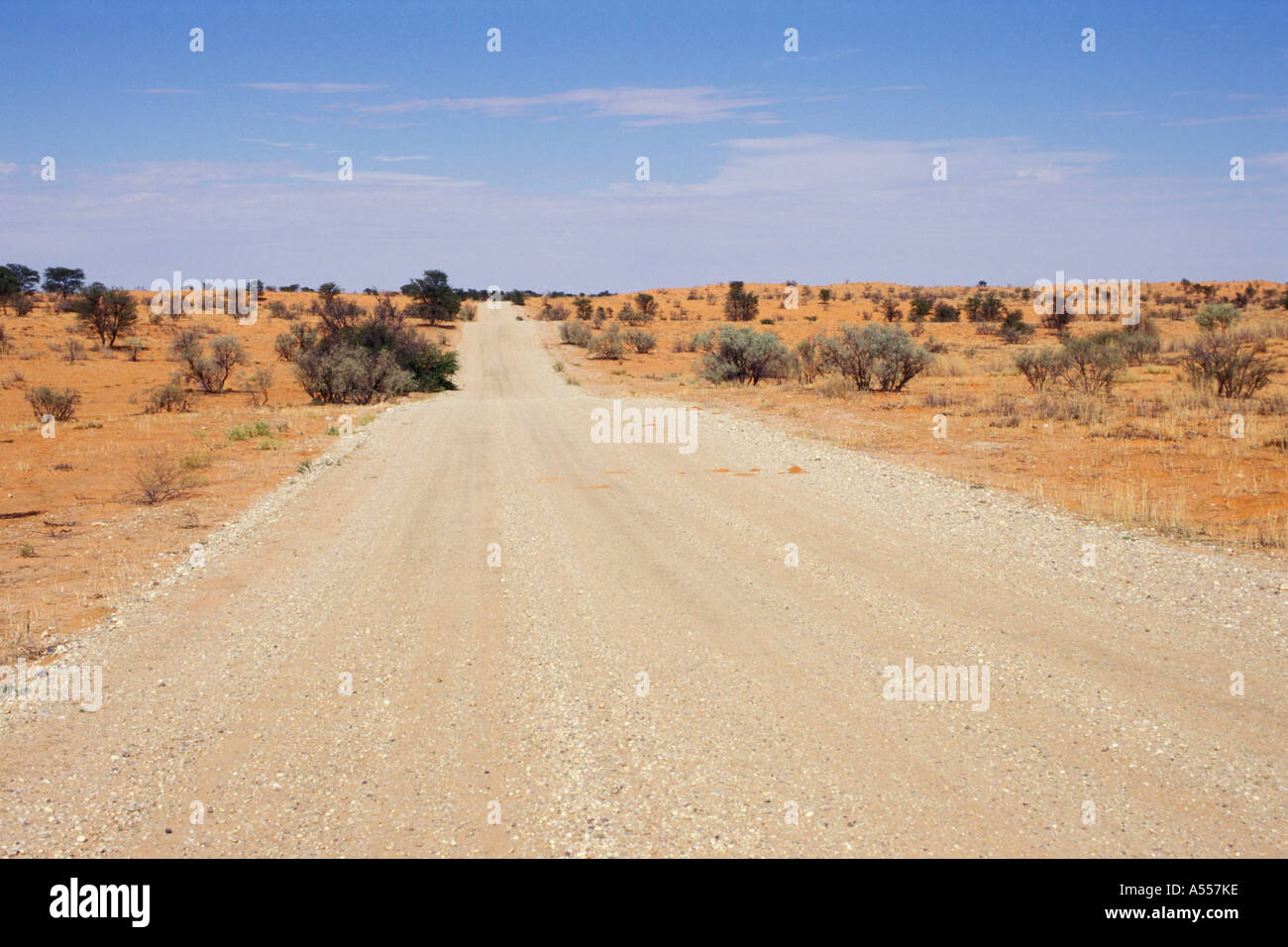 Road gravel road Kalahari National Park South Africa Stock Photo - Alamy