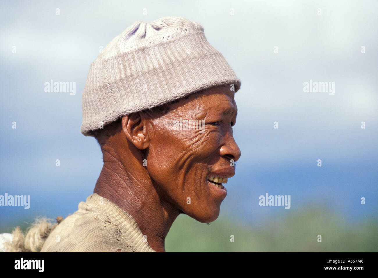 Old Bushman Namibia Stock Photo - Alamy