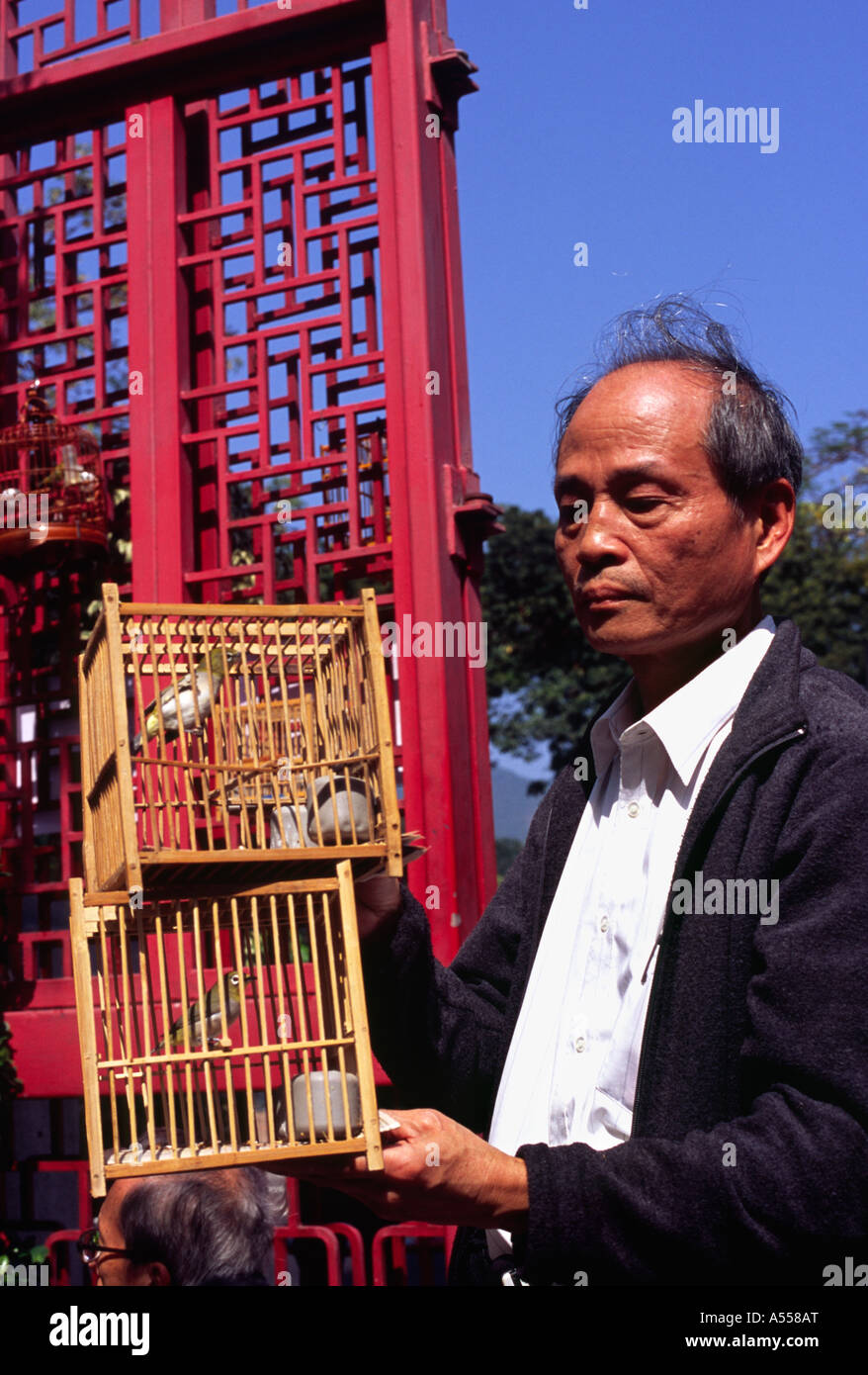 Yuen Po Street Bird Garden - Kowloon, Hong Kong, CHINA Stock Photo - Alamy