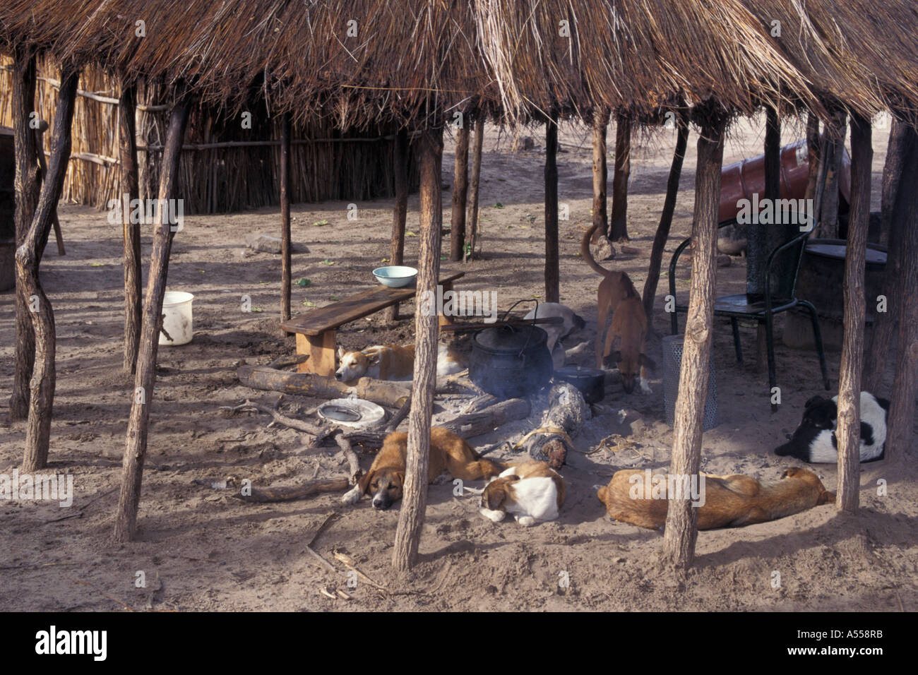 Dog sleeping fireplace hi-res stock photography and images - Alamy