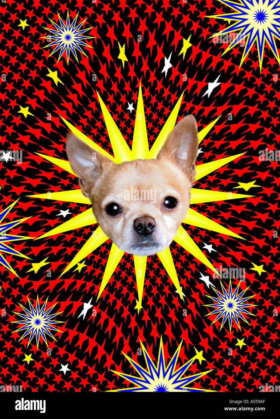 Zany baby hi-res stock photography and images - Alamy