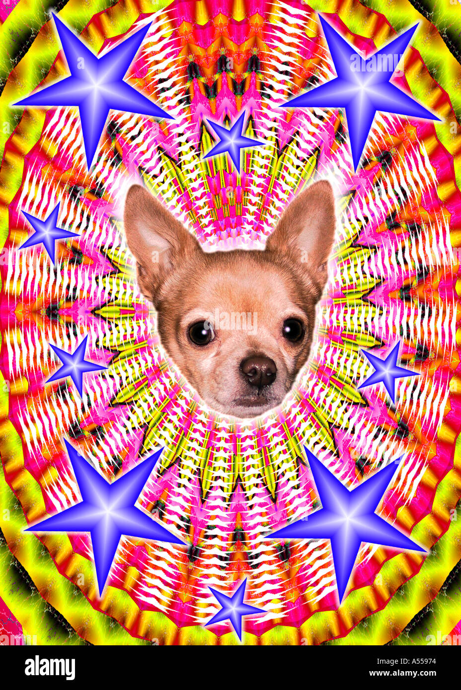 Zany baby hi-res stock photography and images - Alamy