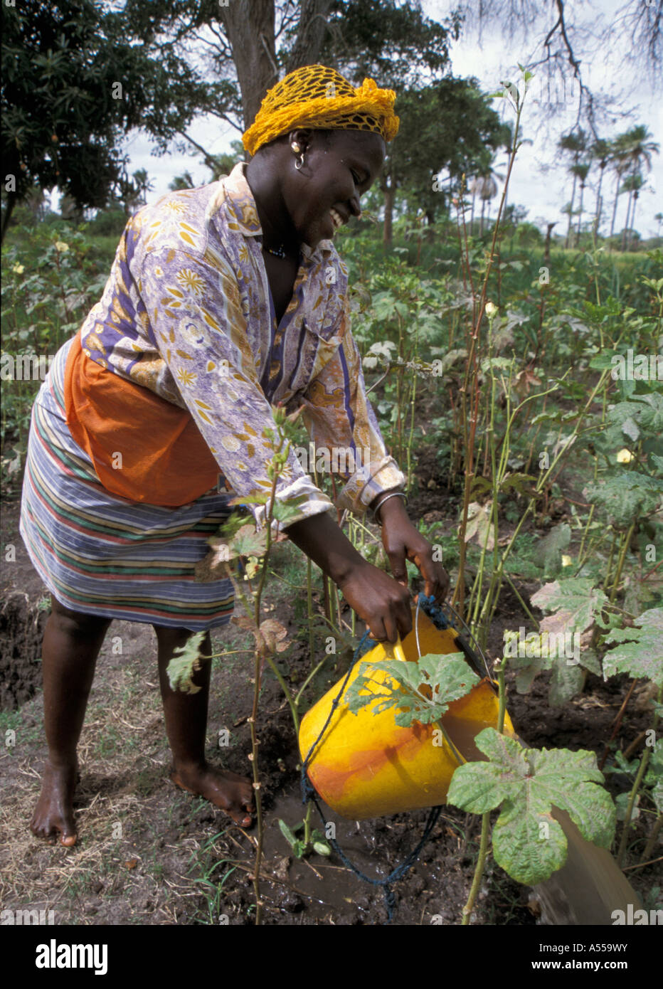 Bana village hi-res stock photography and images - Alamy