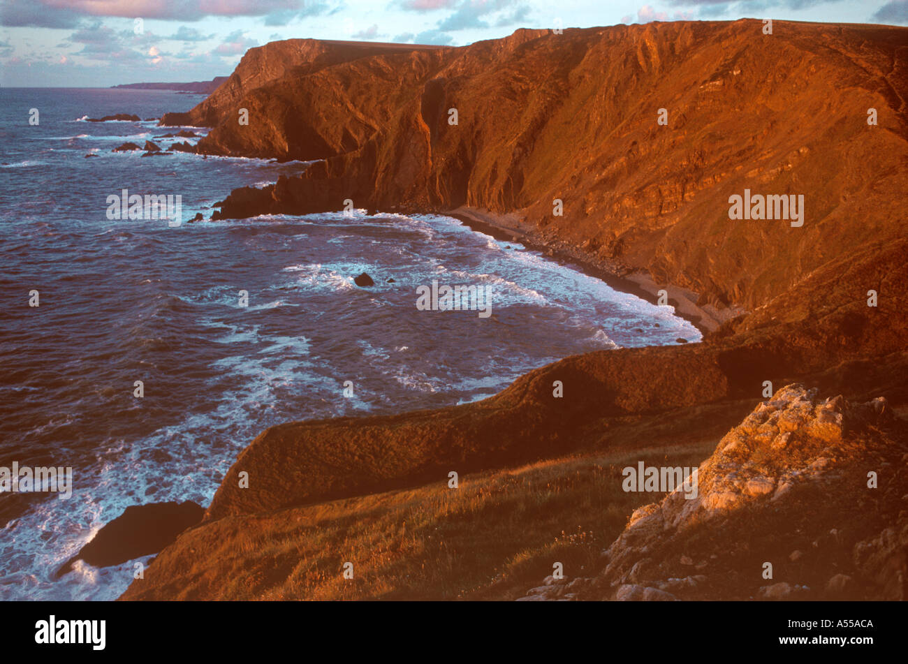 Sharpnose point hi-res stock photography and images - Alamy