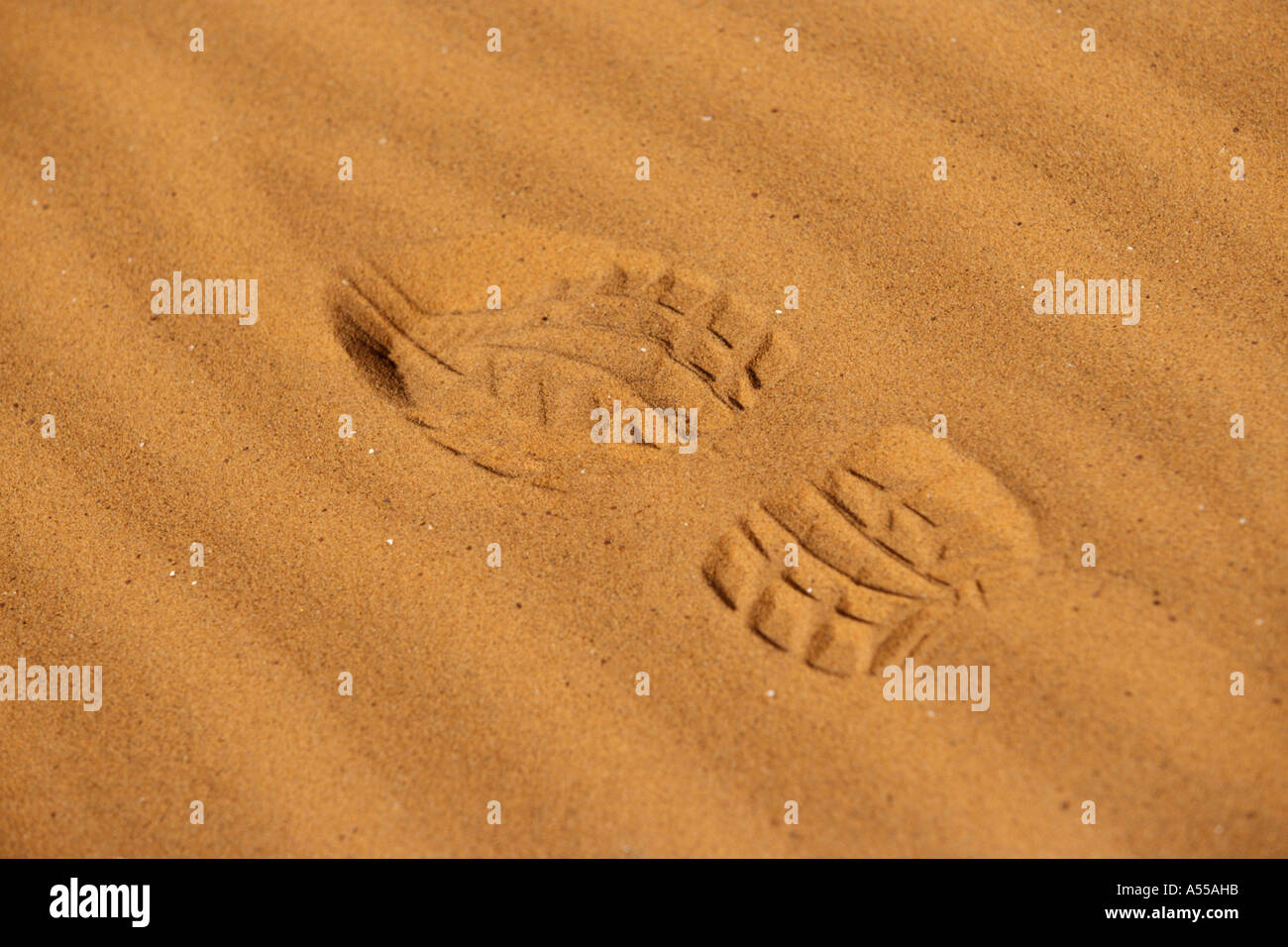 Human trace track in sand Stock Photo - Alamy