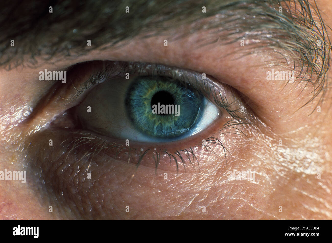 eye of a man Stock Photo - Alamy