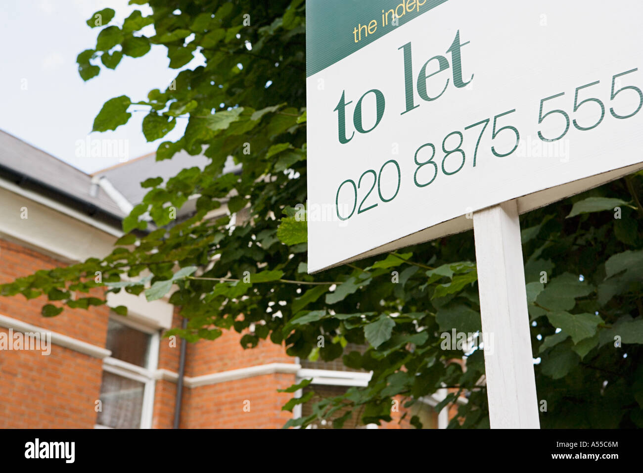 To let sign Stock Photo - Alamy