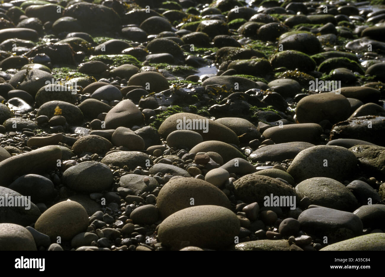 ROUNDED PEBBLES MACHRIE BAY ISLE OF ARRAN SCOTLAND Stock Photo - Alamy