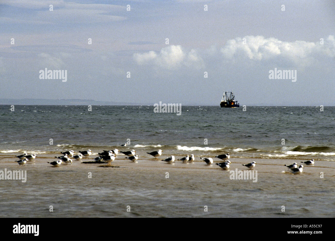 Whiting bay arran hi-res stock photography and images - Alamy