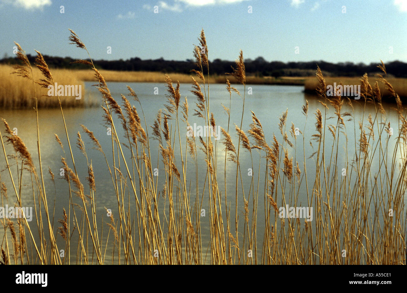 Silting yellow river hi-res stock photography and images - Alamy