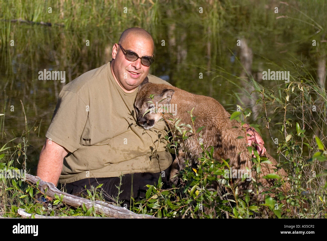 Animal trainer lion hi-res stock photography and images - Alamy