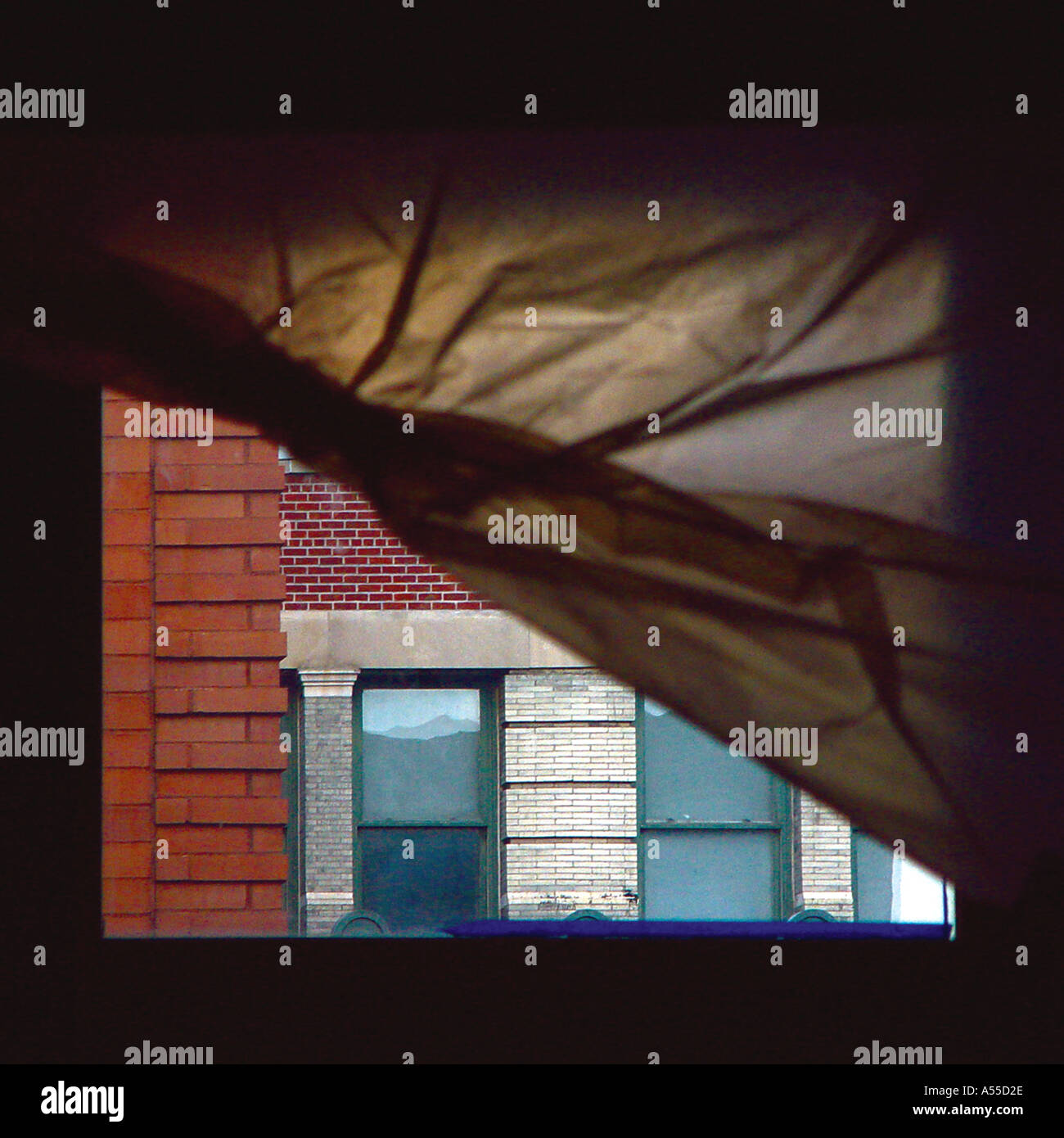 View through building window with curtain Stock Photo - Alamy