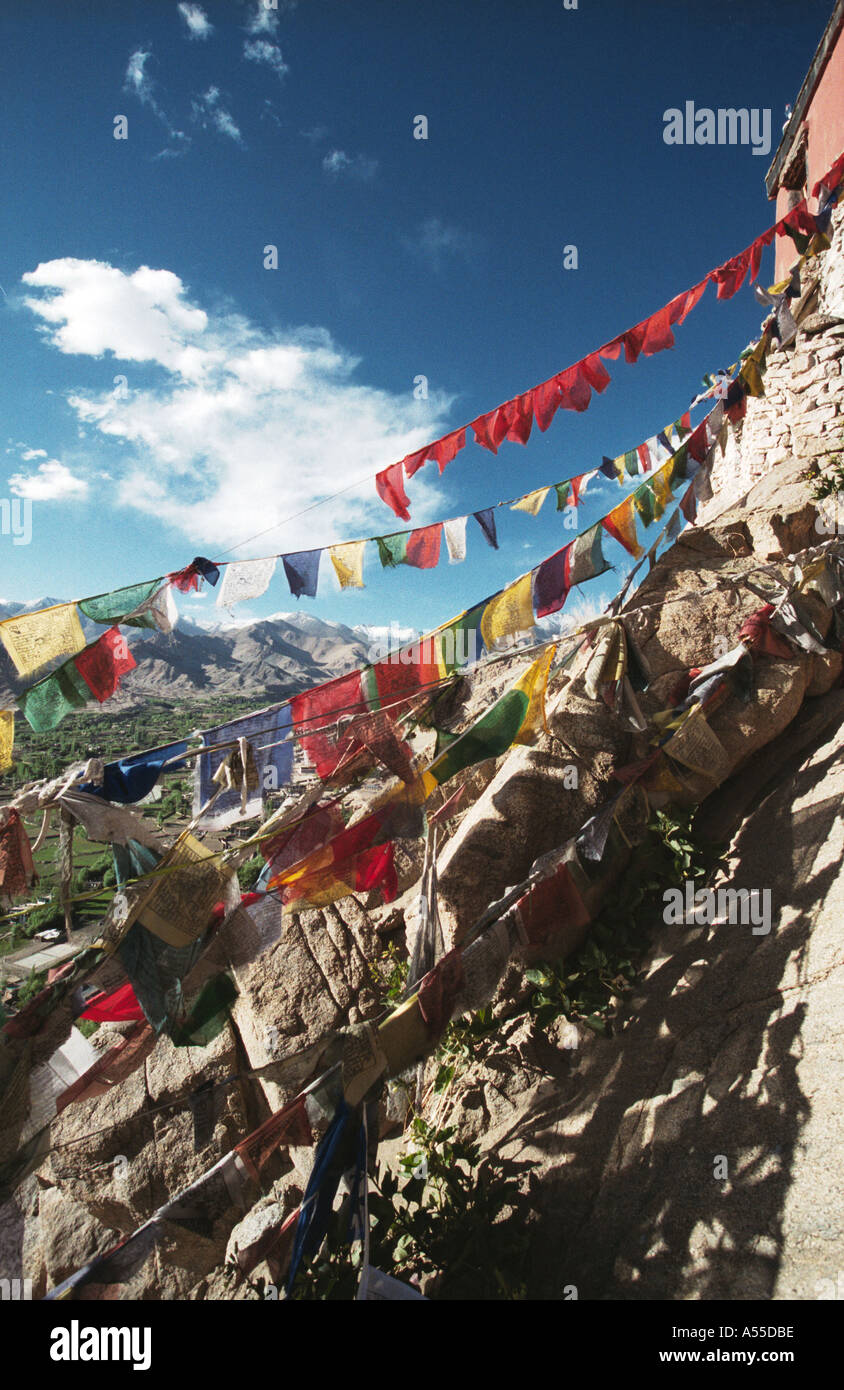 Prayer flags in Ladakh Stock Photo - Alamy