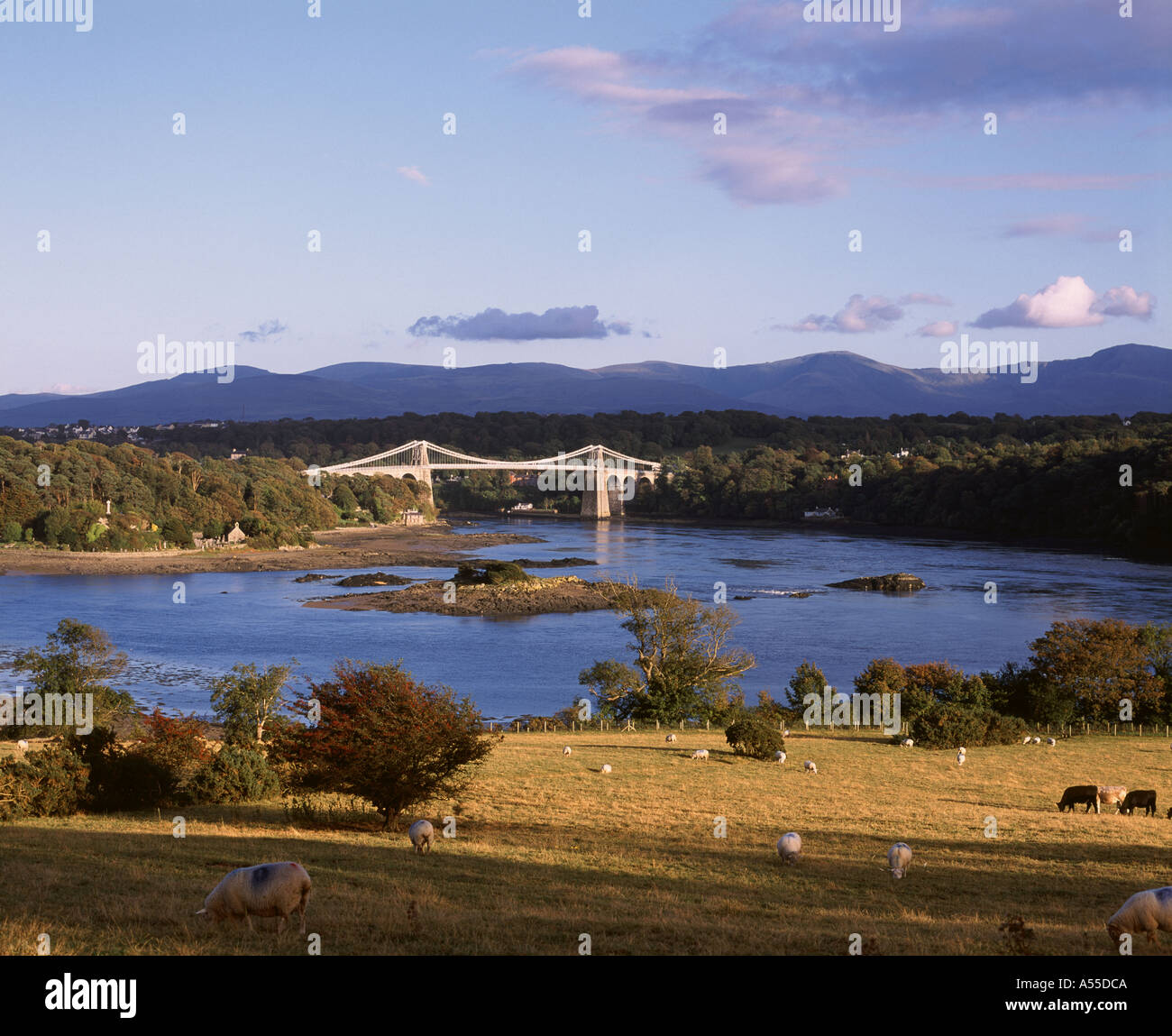 Menai bridge strait anglesey hi-res stock photography and images - Alamy