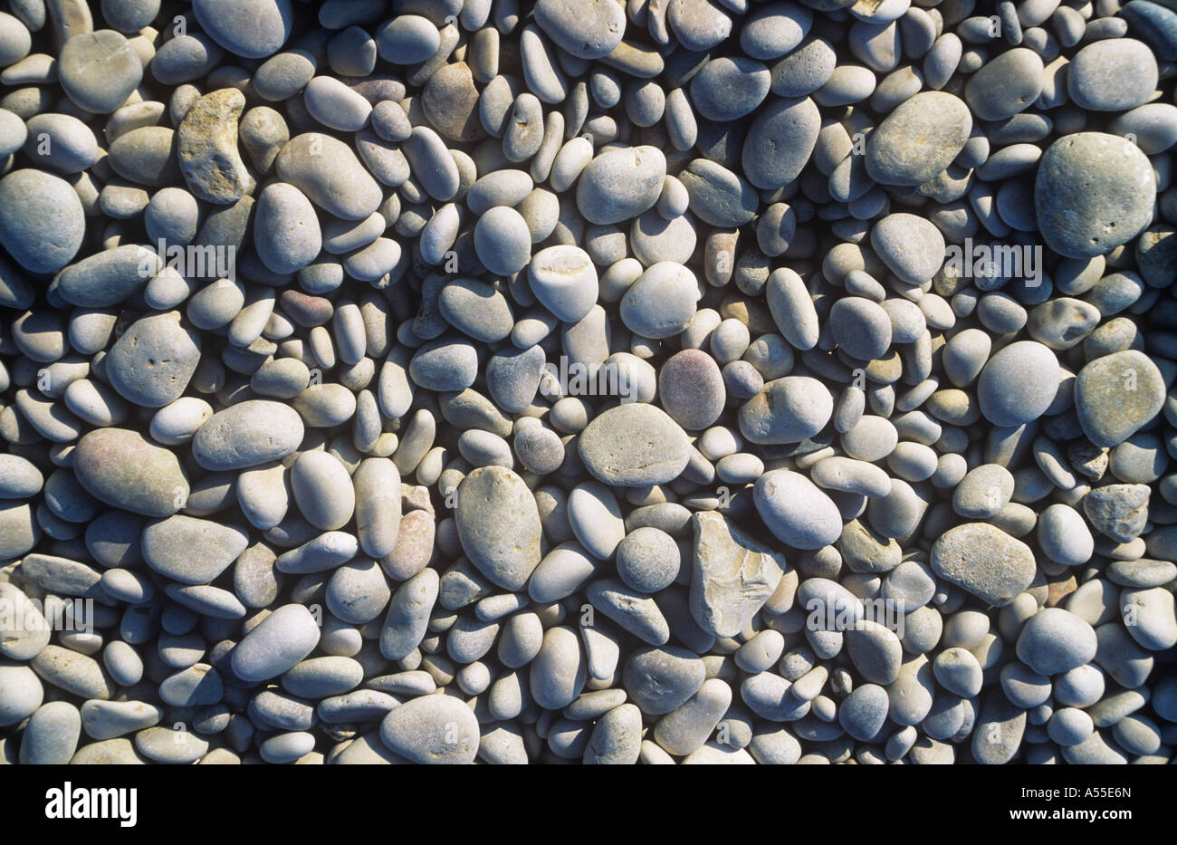 pebbles on beach Stock Photo - Alamy